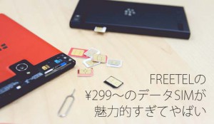 FREETELの月々299～使えるデータSIMが魅力的すぎてやばい | ブログが書けたよ！